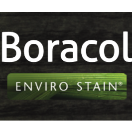 BORACOL 20-2 BD 1-GAL MOULD & FUNGI EXISTING